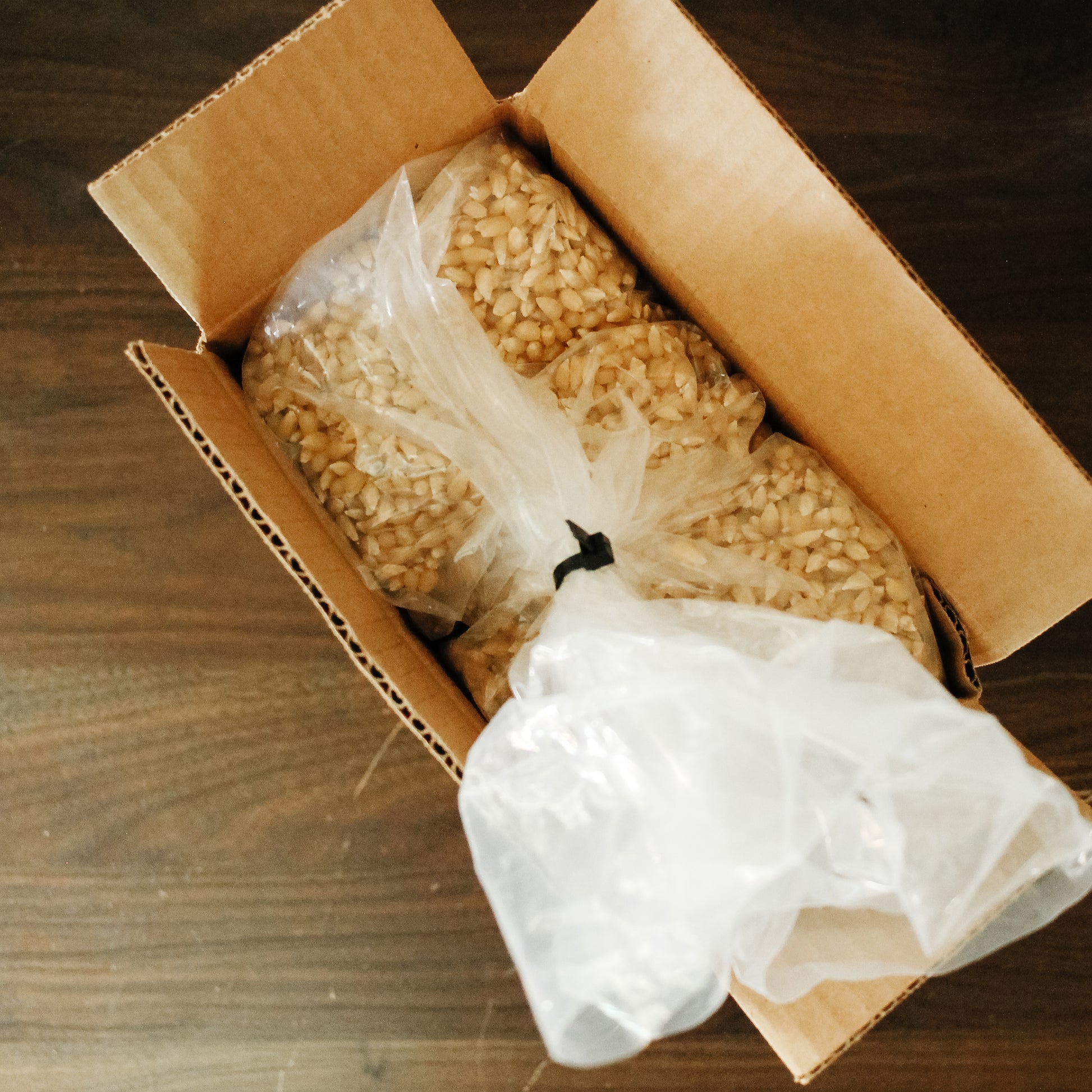 8lb Bag of White Popcorn – Farm Kid Popcorn